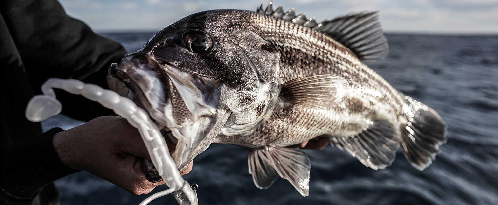 Flick Stick – Halco Lures